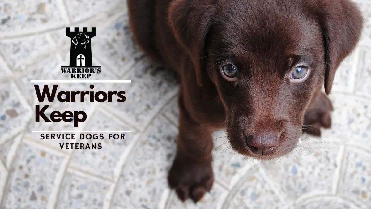 Warriors Keep - Service Dogs, Veteran Support & Training | Faith-Based ...
